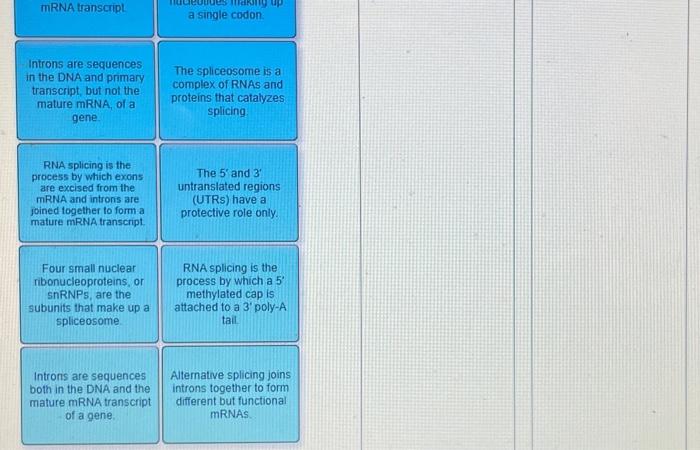 Solved Classify each statement about eukaryotic RNA | Chegg.com