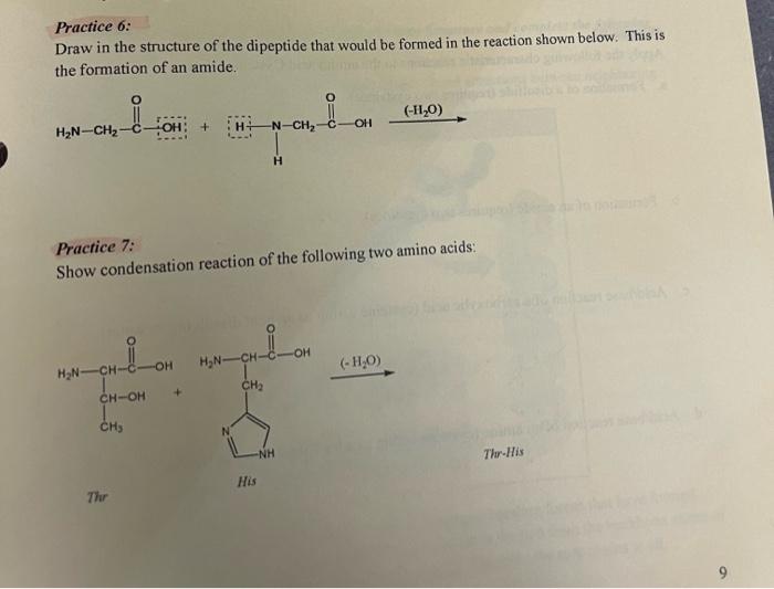 Solved Practice 6: Draw in the structure of the dipeptide | Chegg.com