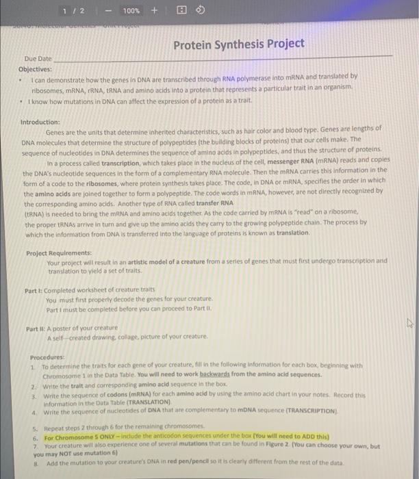 Solved 1 / 2 100% + Protein Synthesis Project Due Date | Chegg.com