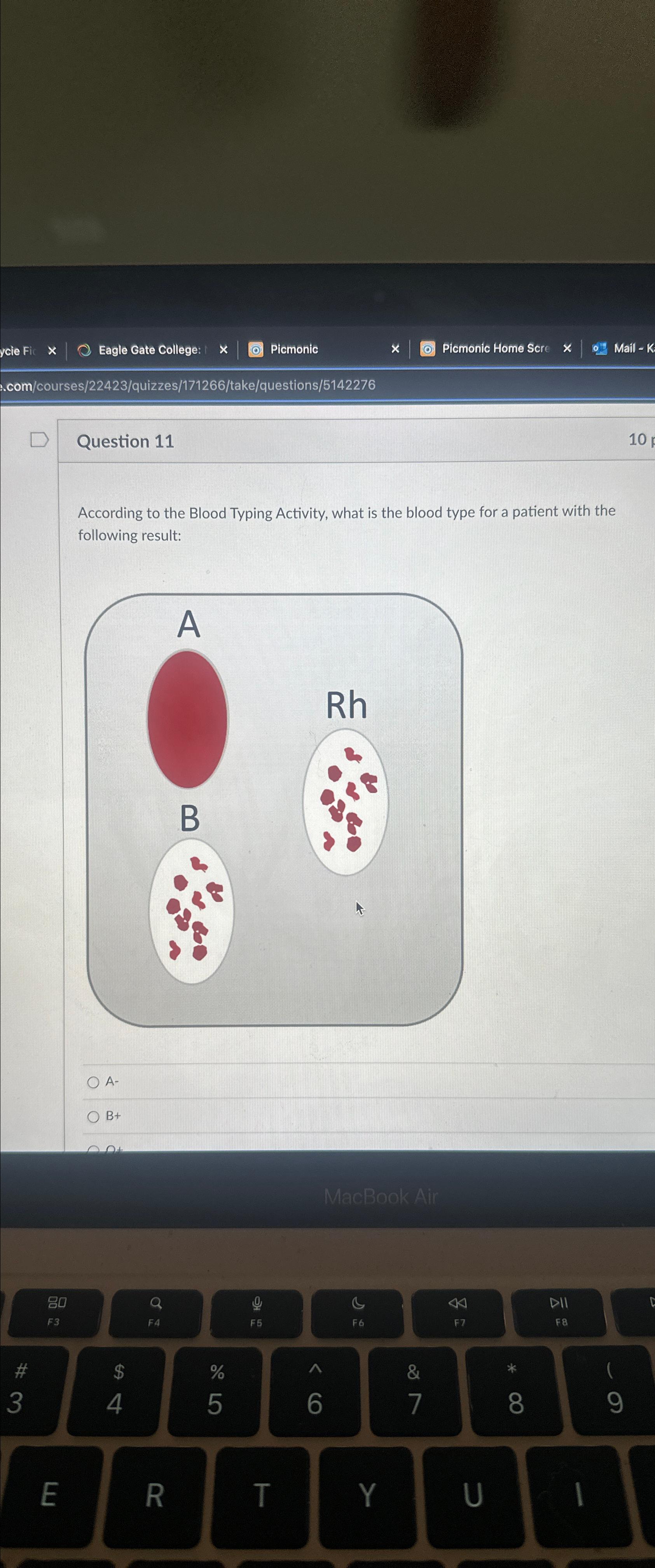 Solved Question 1110According to the Blood Typing Activity, | Chegg.com