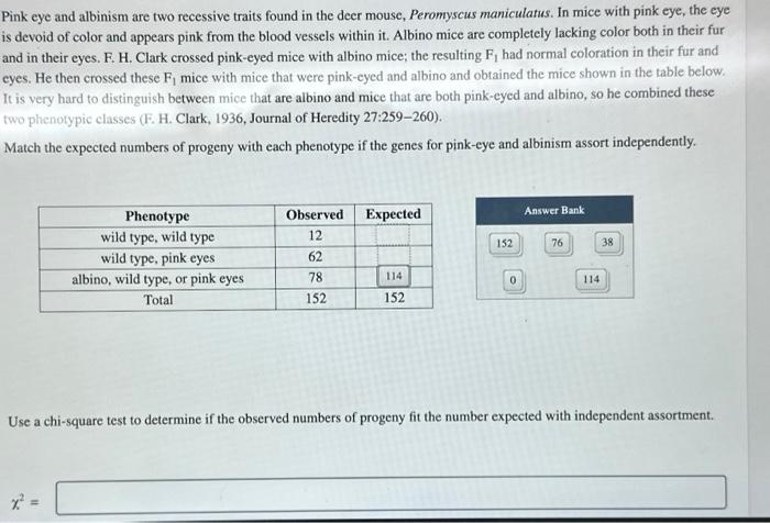 Solved Pink eye and albinism are two recessive traits found | Chegg.com