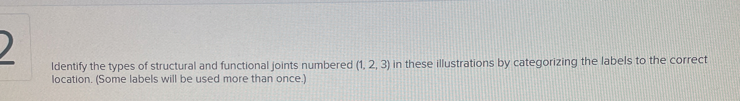 Solved Identify The Types Of Structural And Functional