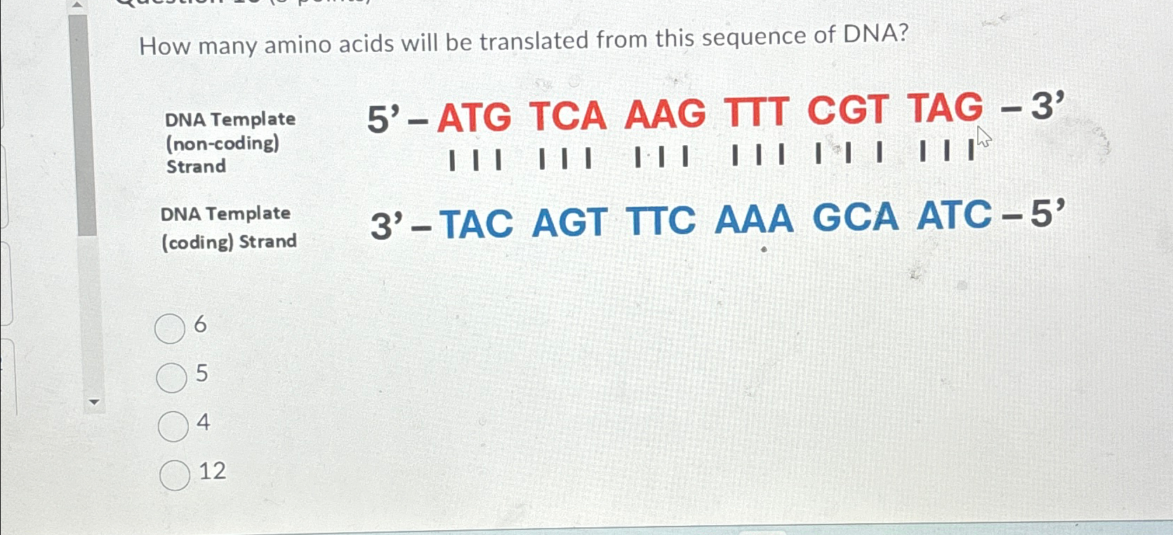 Solved How many amino acids will be translated from this | Chegg.com