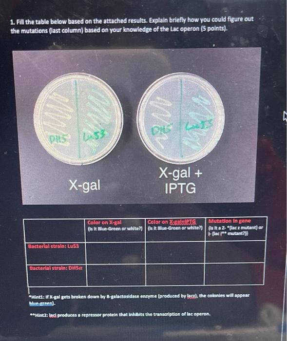 Solved 1. Fill the table below based on the attached | Chegg.com