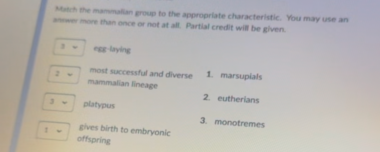 High Quality SOLUTION Match the mammalian group to the appropriate | Chegg.com