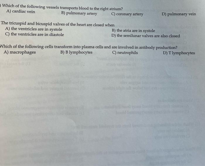 Solved Which of the following vessels transports blood to | Chegg.com