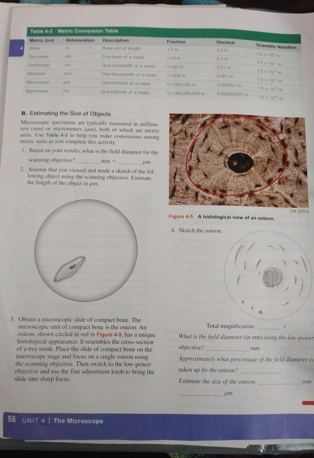 B. Estimating the Size of Objects Microscopic | Chegg.com