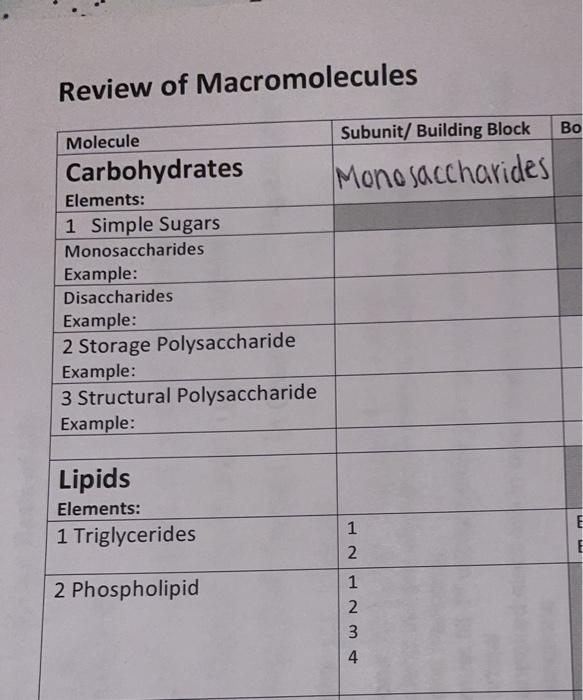 Solved Review of Macromolecules Во Subunit/ Building Block | Chegg.com