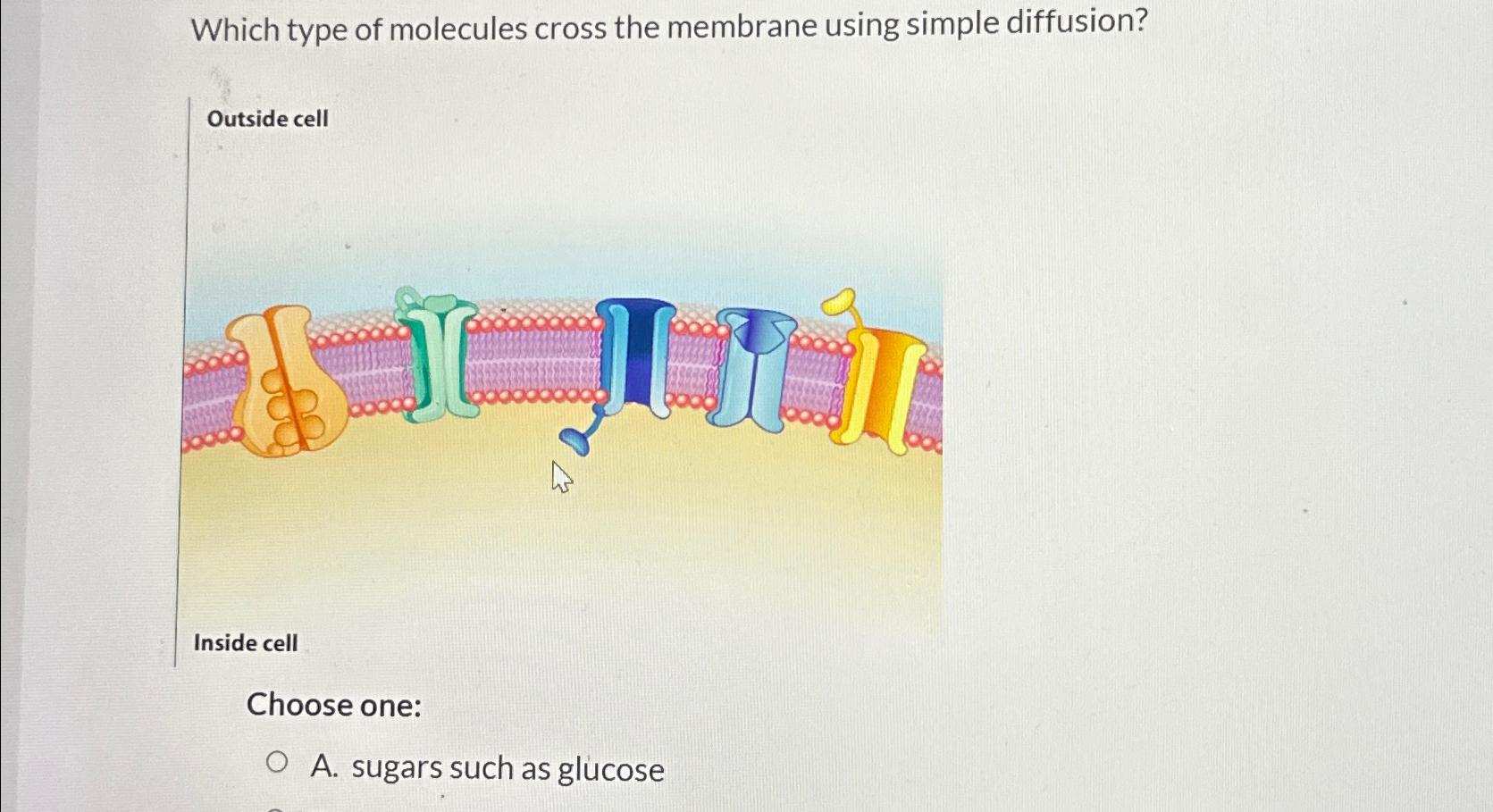 Solved Which type of molecules cross the membrane using | Chegg.com
