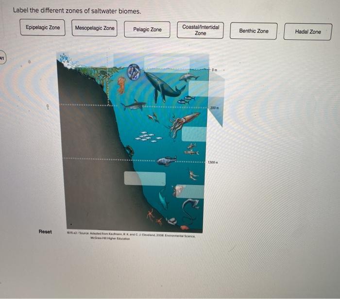 Solved Label the different zones of saltwater biomes. | Chegg.com