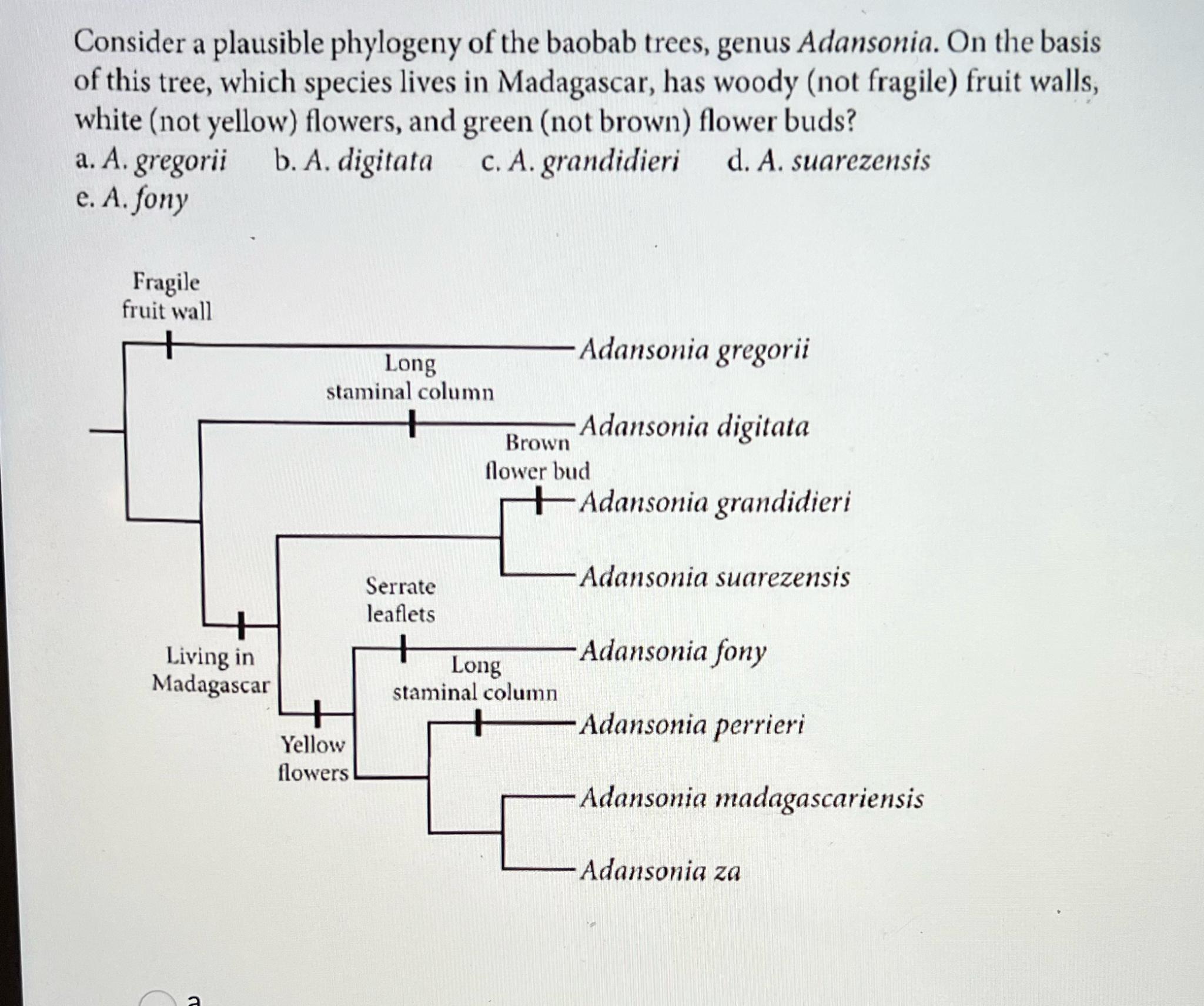 Solved Consider a plausible phylogeny of the baobab trees, | Chegg.com