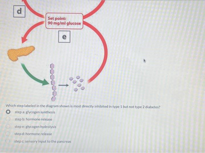 Solved Type 1 and type 2 diabetes mellitus have different | Chegg.com