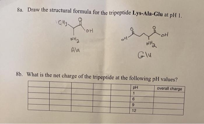 Solved 8a. Draw the structural formula for the tripeptide | Chegg.com