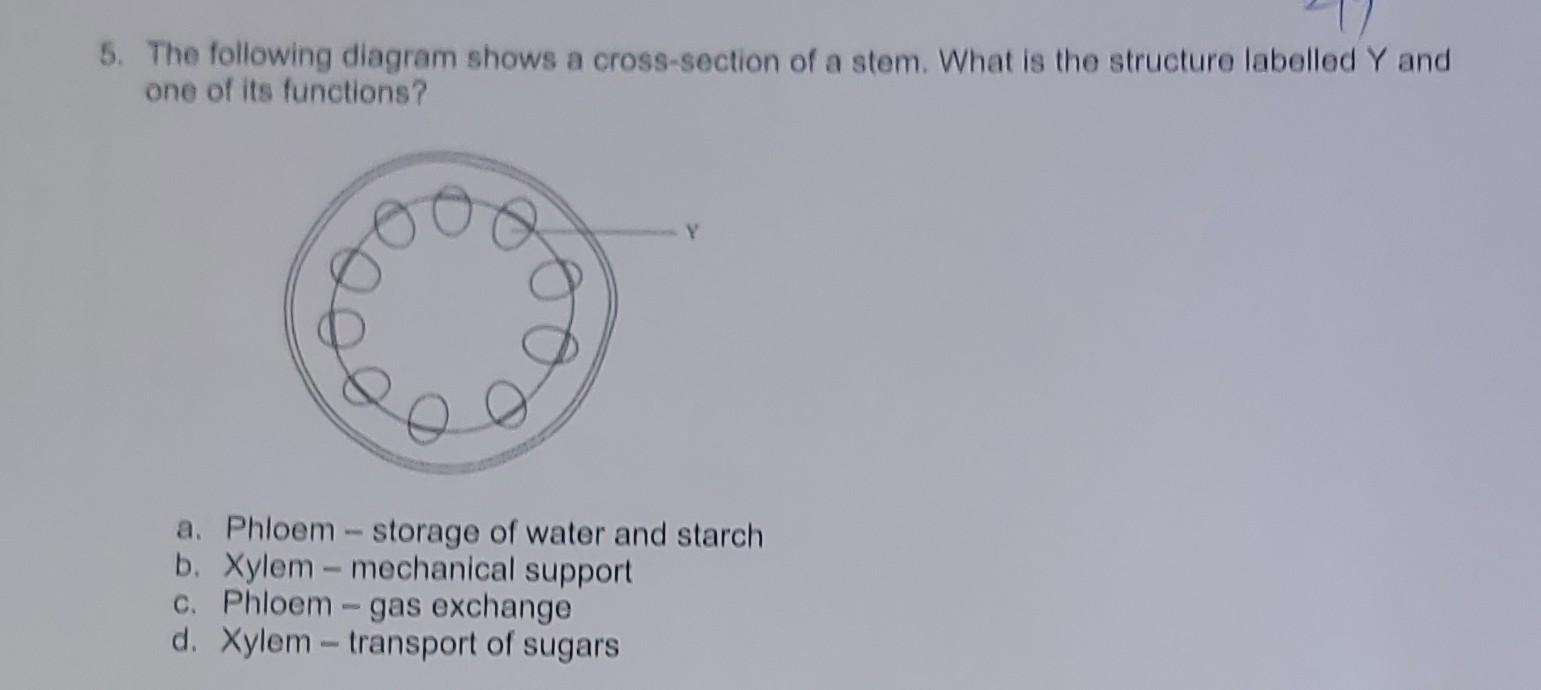 Solved 5. The following diagram shows a cross-section of a | Chegg.com