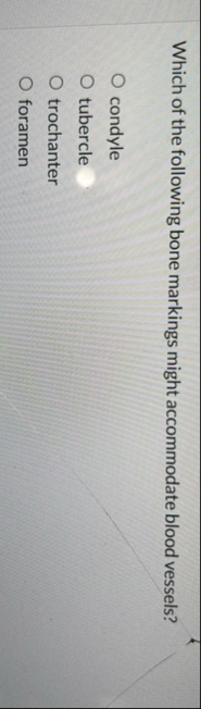 Solved Which of the following bone markings might | Chegg.com