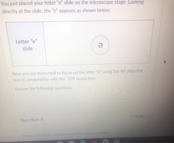 Solved You just placed your letter "e" slide on the | Chegg.com