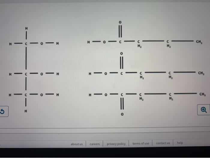 Solved A glycerol molecule and three butyric acid molecules | Chegg.com