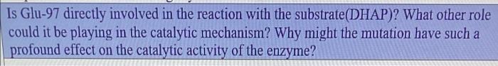 Solved Is Glu-97 directly involved in the reaction with the | Chegg.com
