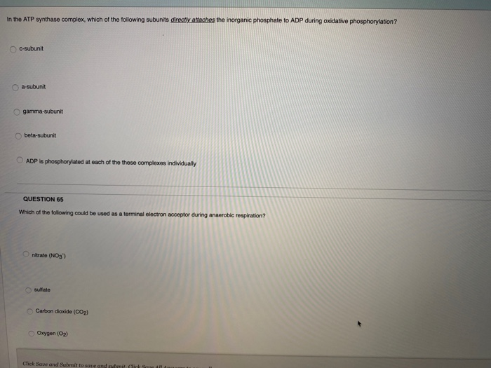 Solved In the ATP synthase complex, which of the following | Chegg.com