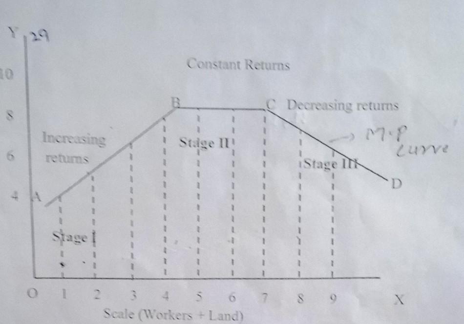 Solved explain stages of this graph answer will be diwnvote | Chegg.com