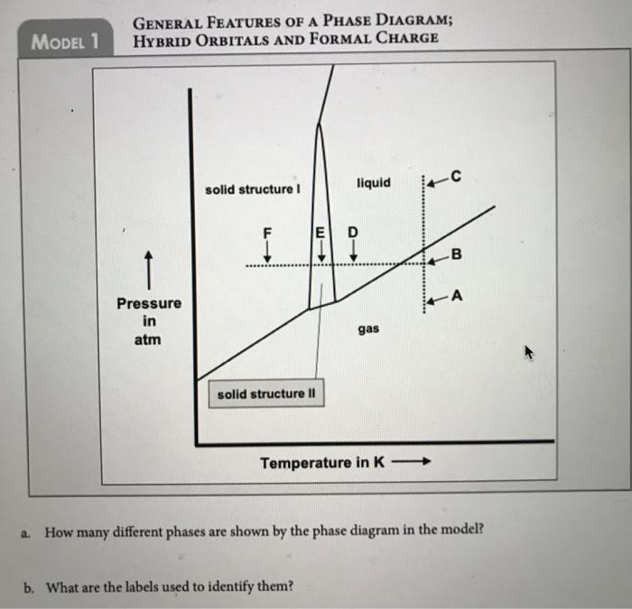 Solved MODEL 1 GENERAL FEATURES OF A PHASE DIAGRAM; HYBRID | Chegg.com