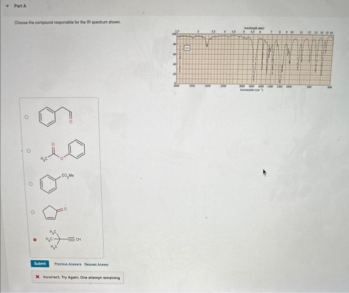 Solved help please & explain | Chegg.com