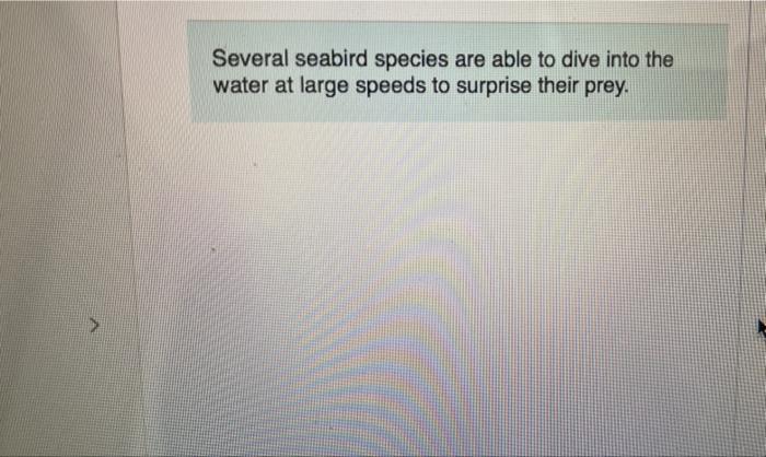 Solved Several seabird species are able to dive into the | Chegg.com