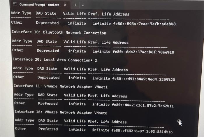 Solved c: \Users\naray>netsh interface ipv6 show address | Chegg.com