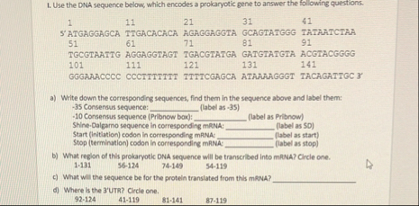 Solved Use the DNA sequence below, which encodes a | Chegg.com