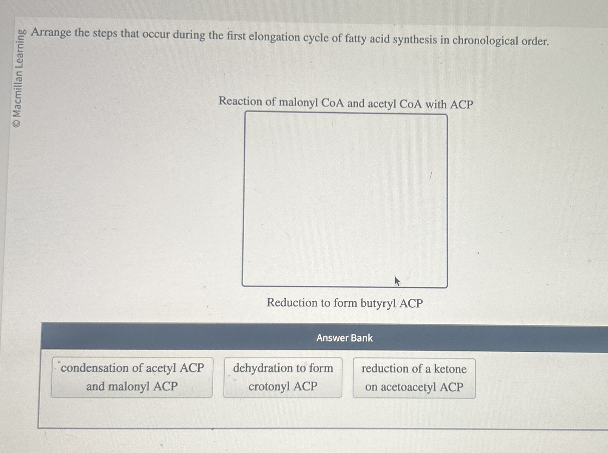 Solved Arrange the steps that occur during the first | Chegg.com