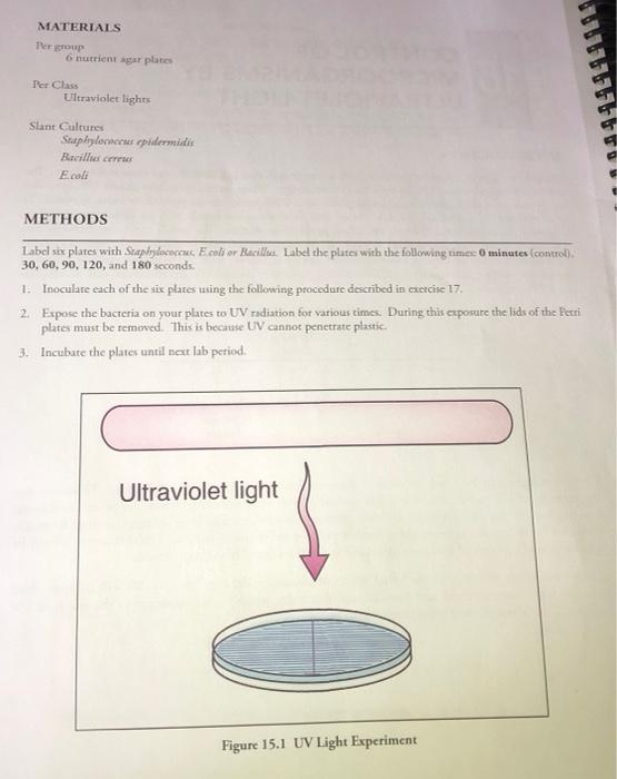 Solved INTRODUCTION Ultraviolet light is a form of radiation | Chegg.com