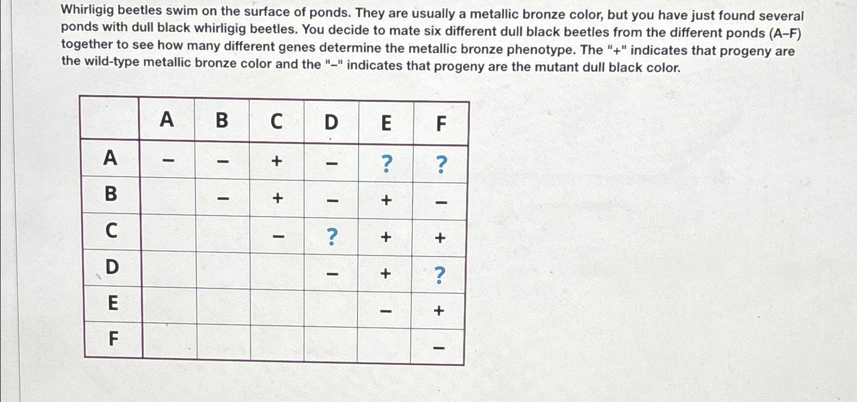 Solved Whirligig beetles swim on the surface of ponds. They | Chegg.com