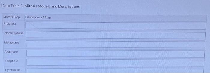 Solved Data Table 1: Mitosis Models and Descriptions Mitosis | Chegg.com