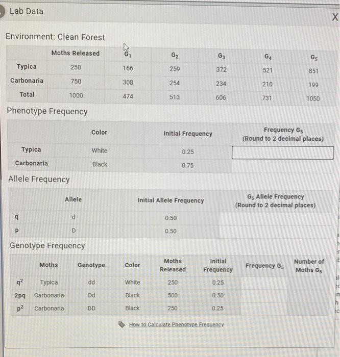 Solved Lab Data X Is this the correct allele frequency? Is | Chegg.com