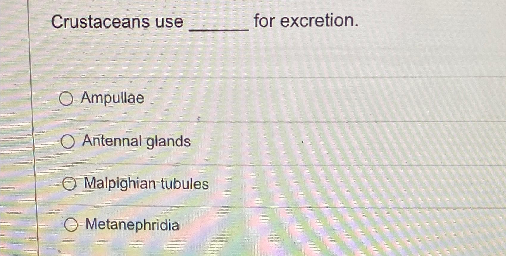 Solved Crustaceans use for excretion.AmpullaeAntennal | Chegg.com