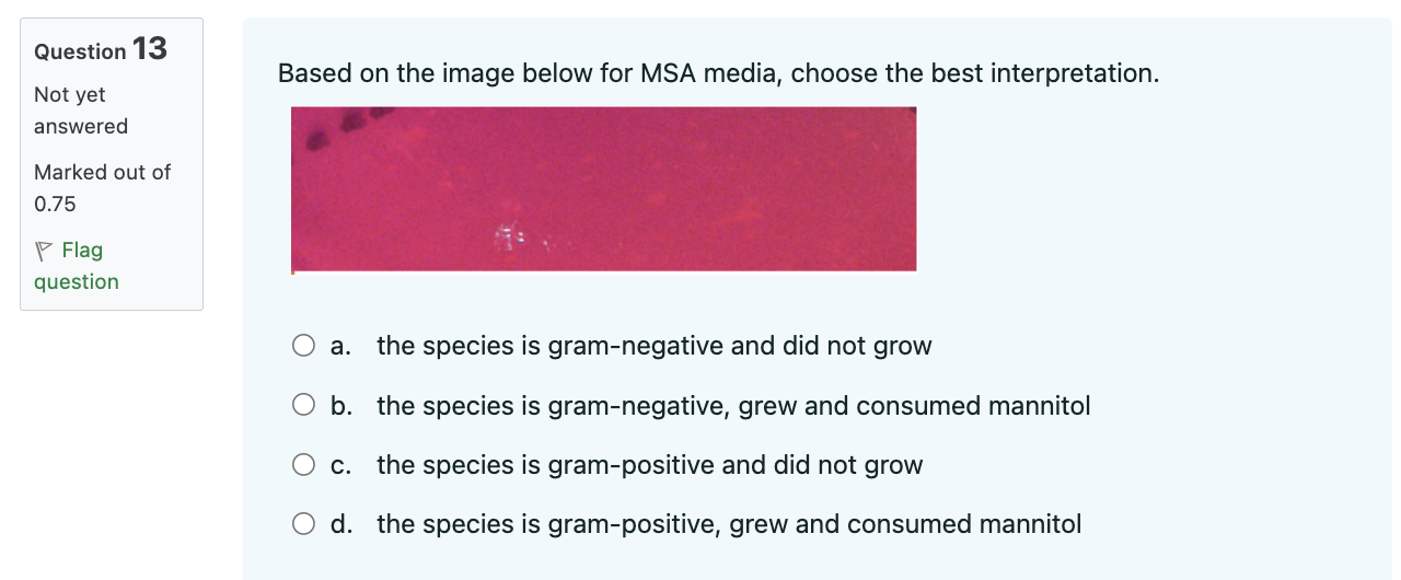 Solved Based on the image below for MSA media, choose the | Chegg.com