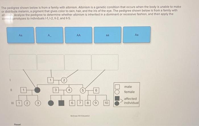 Solved The pedigree shown below is from a family with | Chegg.com