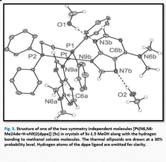 N7 N1 PI N6 IN6 FEE *** Fig. 1. Calculated molecular | Chegg.com