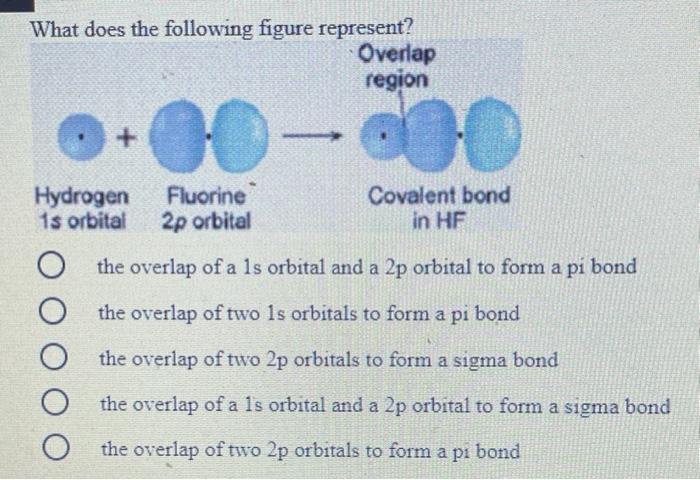 Solved What does the following figure represent? Overlap | Chegg.com
