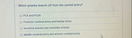 Solved Which arteries branch off from the carotid artery?PCA | Chegg.com