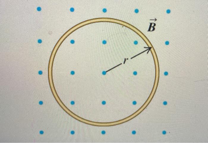 Solved A circular loop of wire with radius 0.0480 mm | Chegg.com
