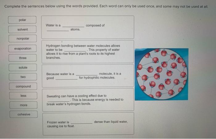 Solved Complete the sentences below using the words | Chegg.com