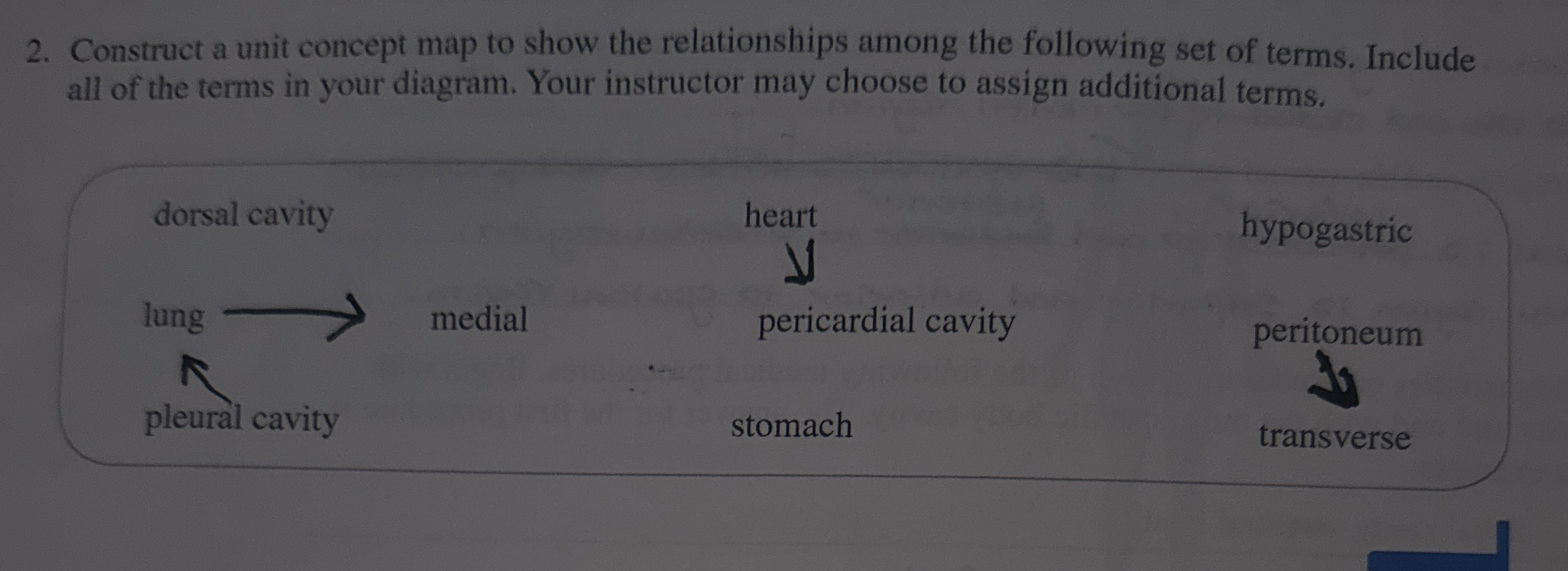Solved Construct a unit concept map to show the | Chegg.com
