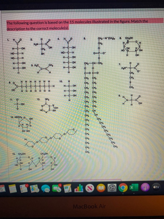 Solved The following question is based on the 15 molecules | Chegg.com