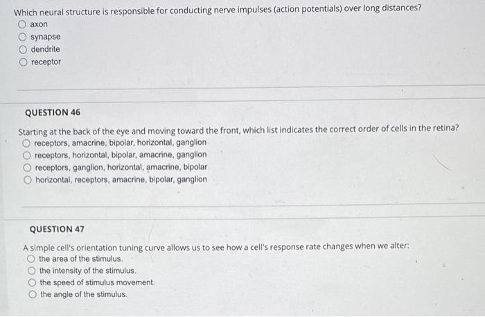 Solved Which neural structure is responsible for conducting | Chegg.com