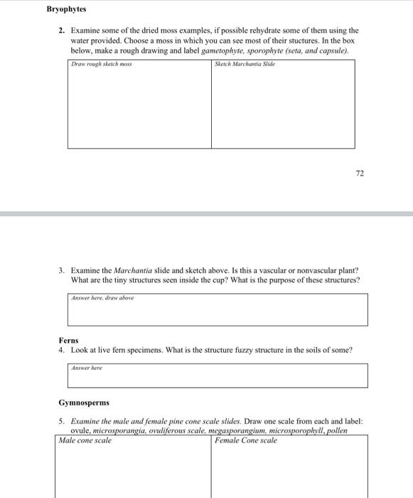 2. Examine some of the dried moss examples, if | Chegg.com