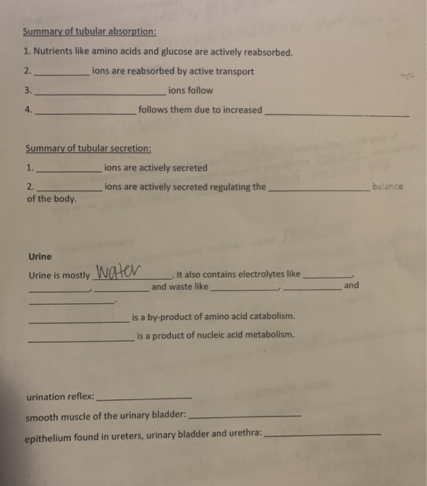 Solved Summary of tubular absorption: 1. Nutrients like | Chegg.com