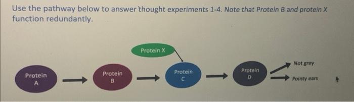 Please Help. Two images are attached. First one shows | Chegg.com