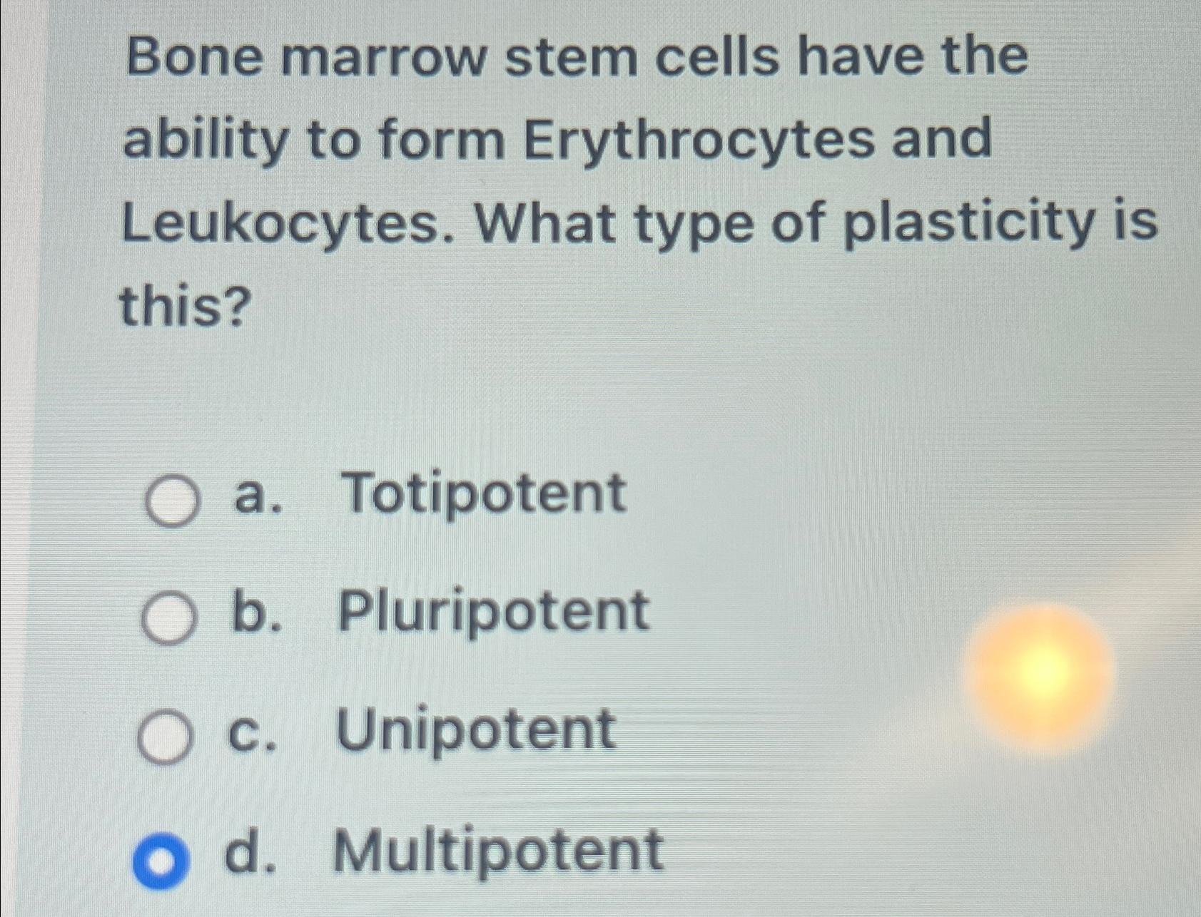 Solved Bone marrow stem cells have the ability to form | Chegg.com