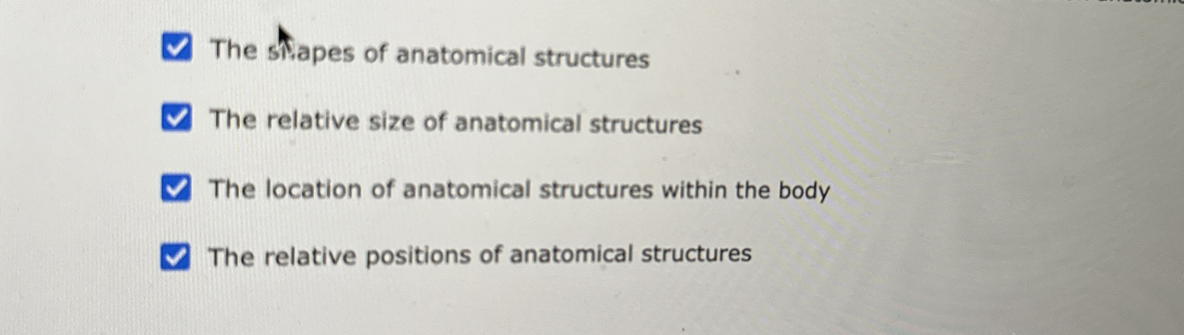 Solved The stiapes of anatomical structuresThe relative size | Chegg.com